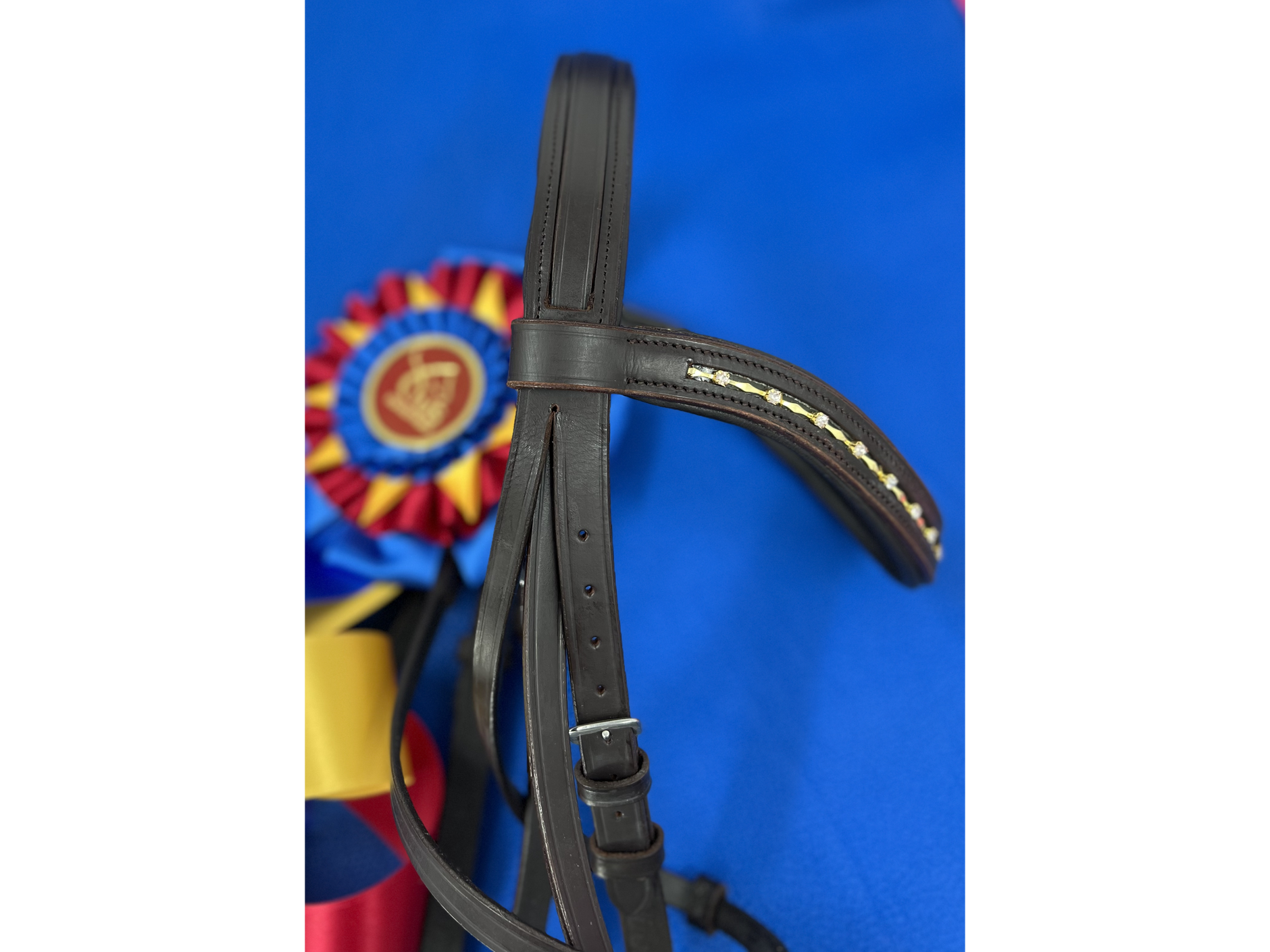 Rubber Coated Reins – Delfina Saddlery